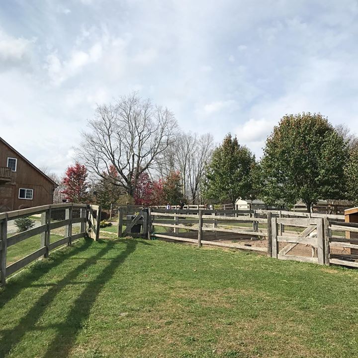 Upper Room farms - Frum Family Trips- Trippo Hippo