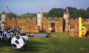 Family Fun farm - Frum Family Trips- Trippo Hippo